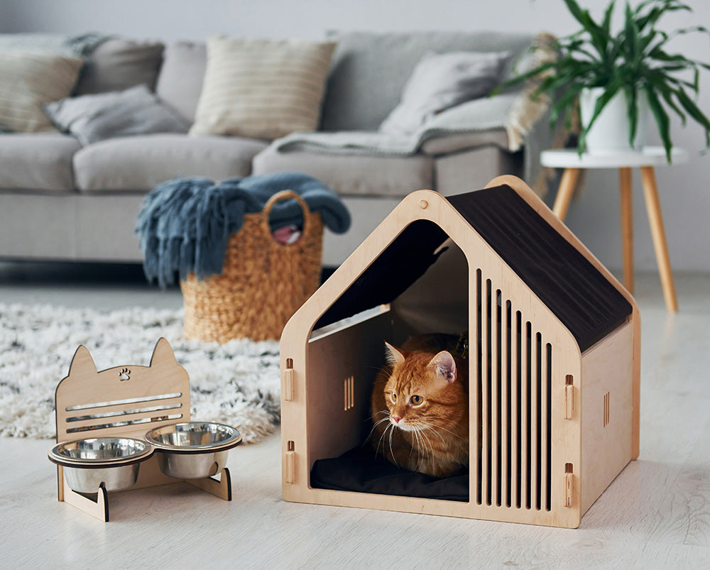 How to Create a Zen Zone for Your Pet (At Home or on the Go) | PetLuv